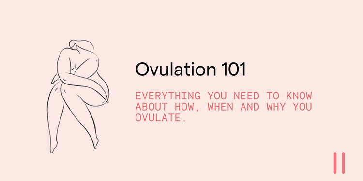 Ovulation 101: Everything You Need to Know About How, When and Why You ...